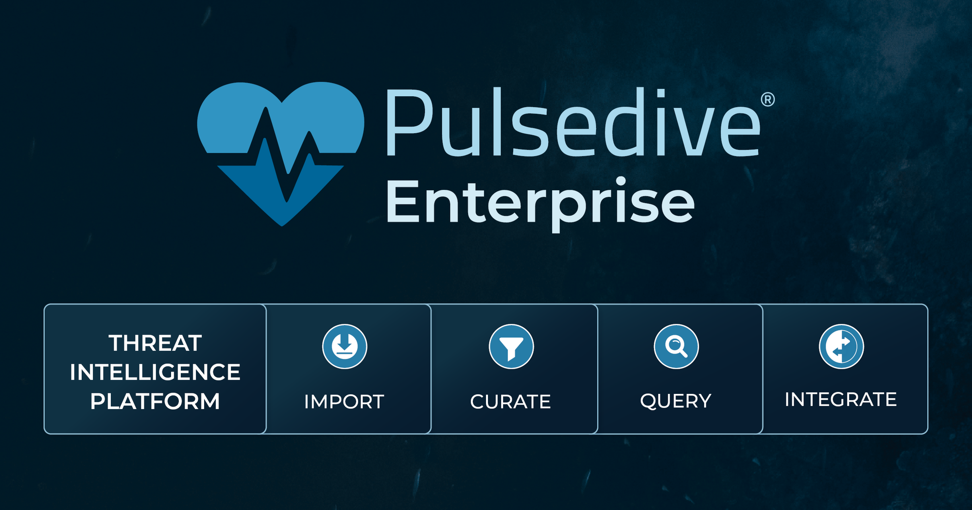 Blog | Announcing: Pulsedive Enterprise